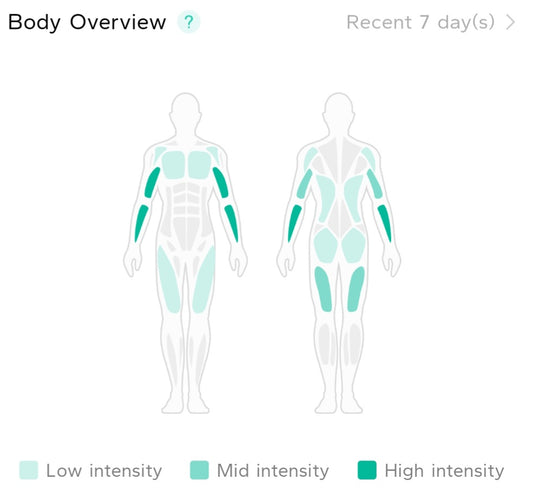 The Most Convenient Home Gym Equipment – Speediance Singapore